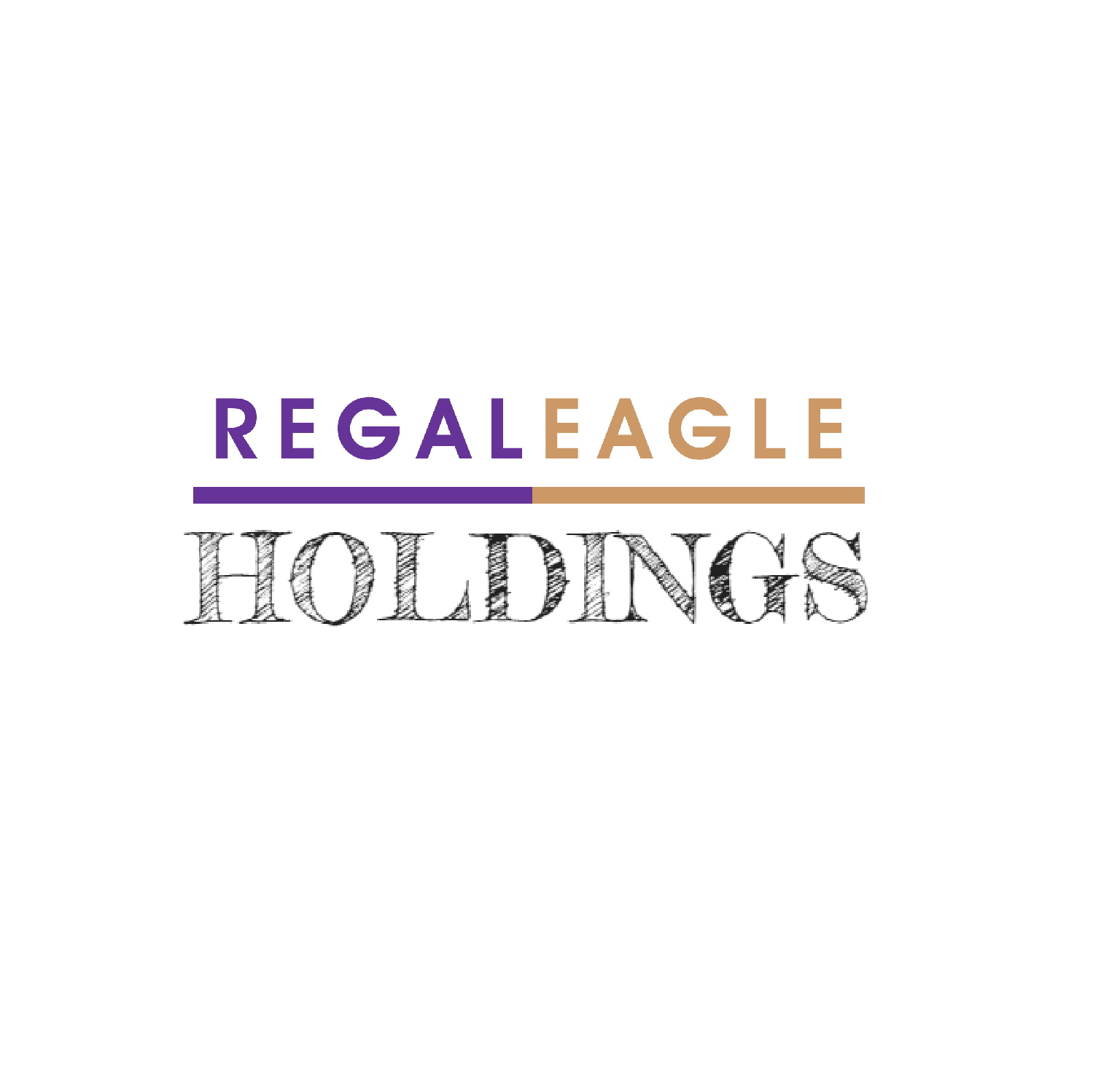 Regal Eagle Holdings – Asset and Investment Management